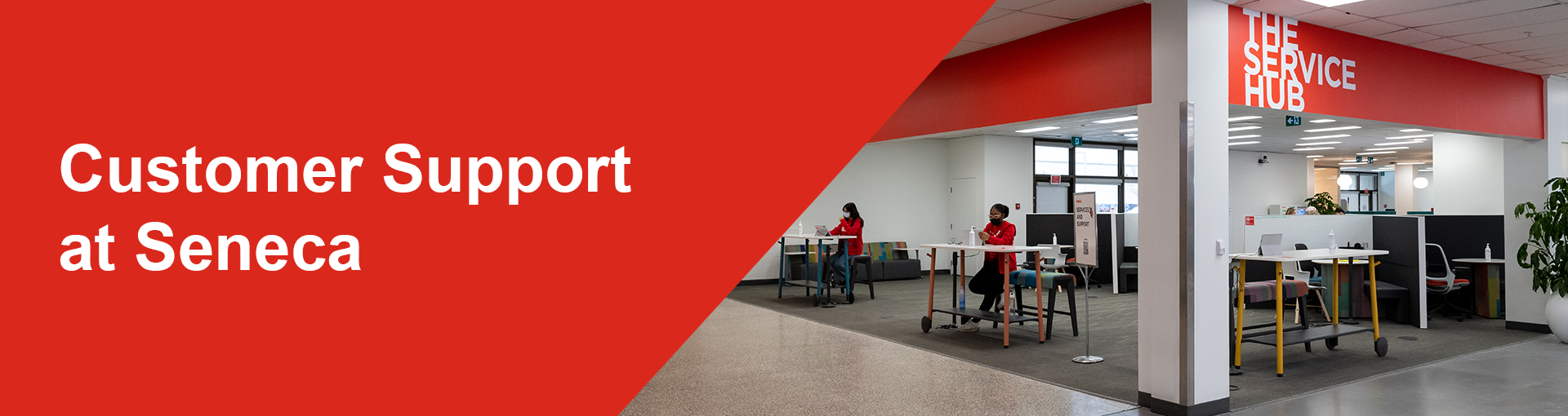 Customer Support at Seneca